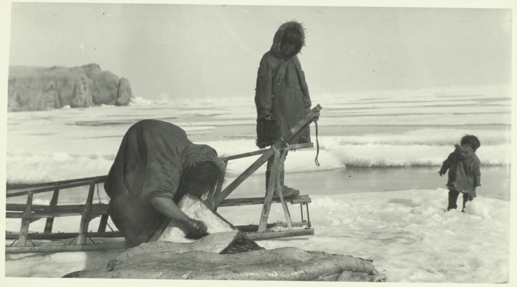 The Inuit Aboard the Karluk - The History Reader : The History Reader